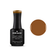 Gel Color - DDL - WINTER Col.